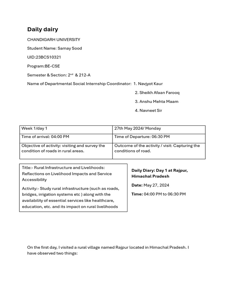 Daily Report Sample | PDF