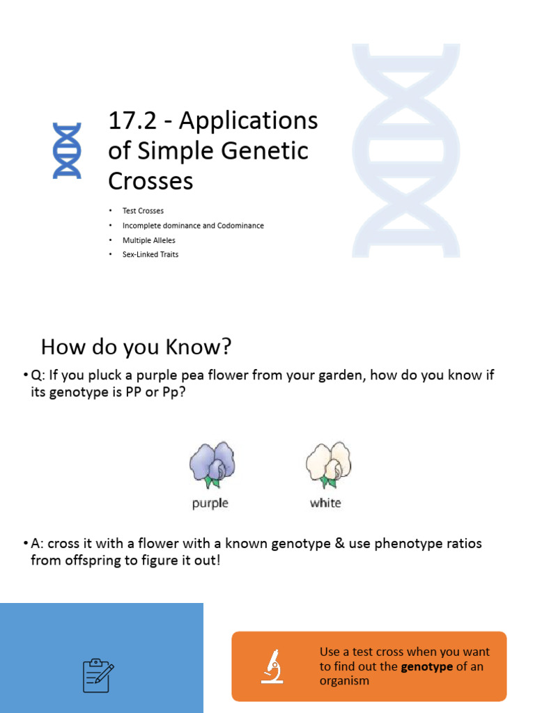 17.2 - Applications of Simple Genetics | PDF | Dominance (Genetics ...