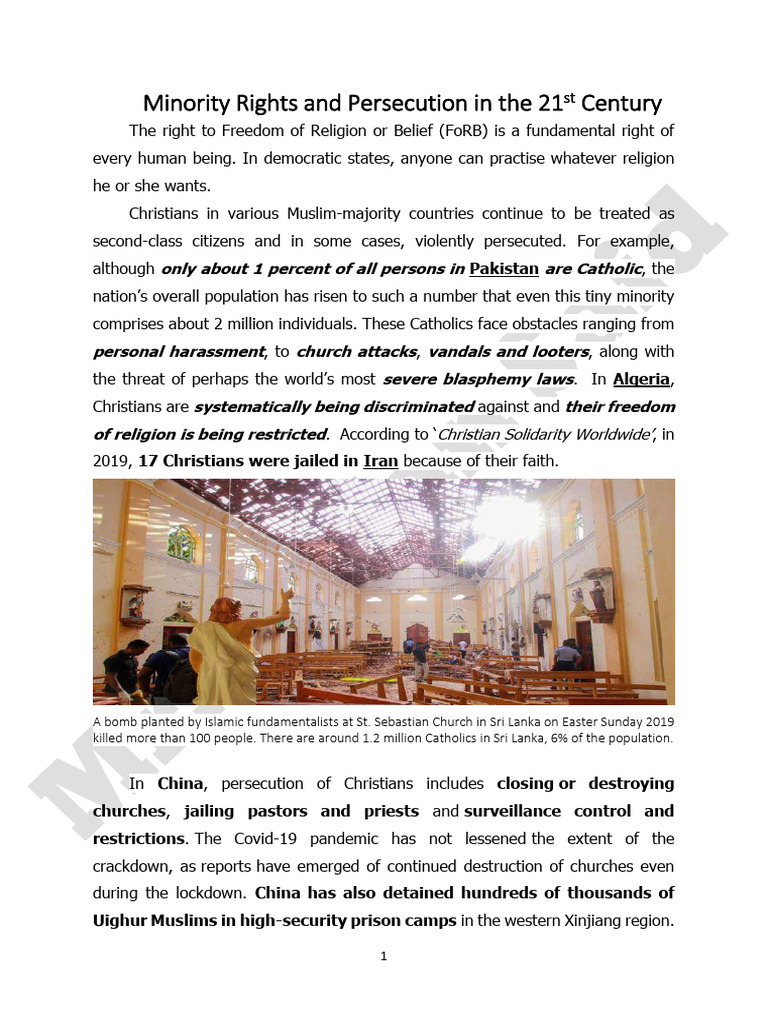 Minorities and Persecution in the 21st Century | PDF | European Union ...