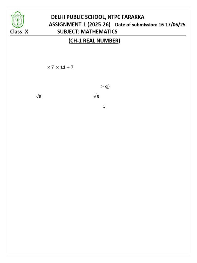 Maths Holiday Home Assignment | PDF | Polynomial | Numbers