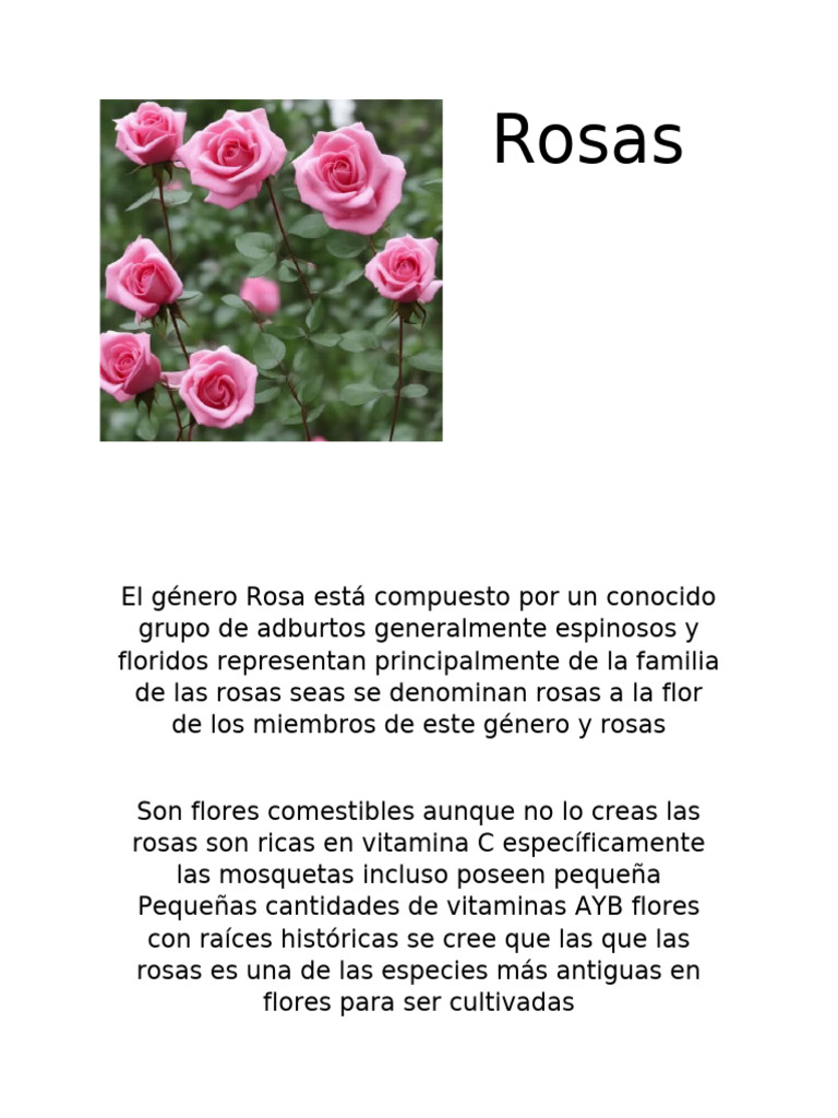 Características y Tipos de Rosas | PDF | Rosa | Lilium