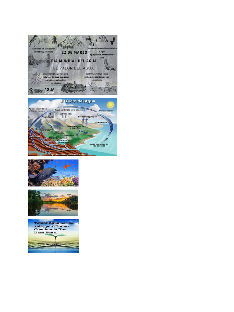 Sssssss Sssssssss | PDF