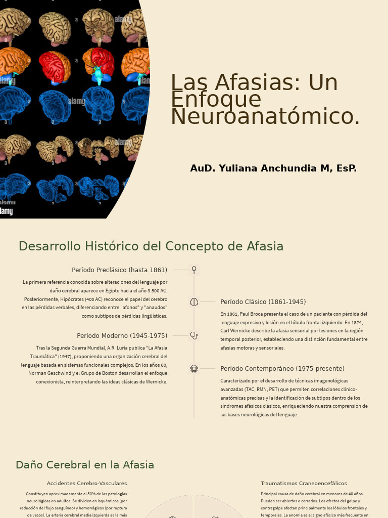 Clasificacion-de-las-Afasias-Un-Enfoque-Neuroanatomico | PDF | Afasia | Neurociencia