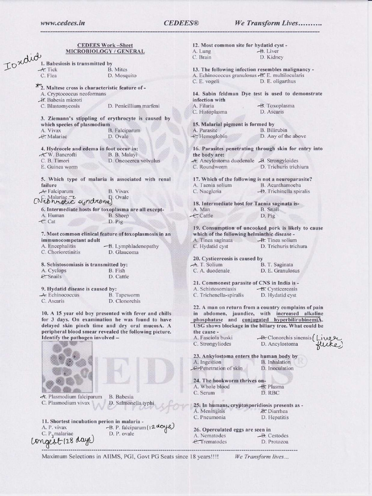 Micro 6 Paper | PDF