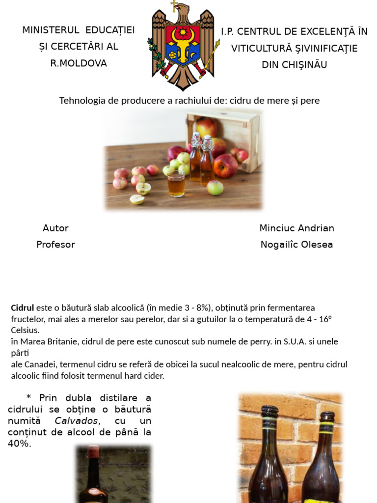 TPF SI Minciuc | PDF