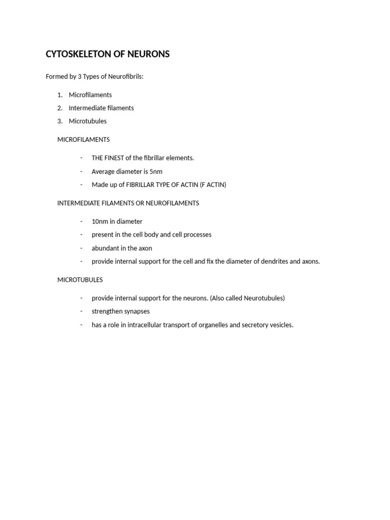 Cytoskeleton of Neurons | PDF