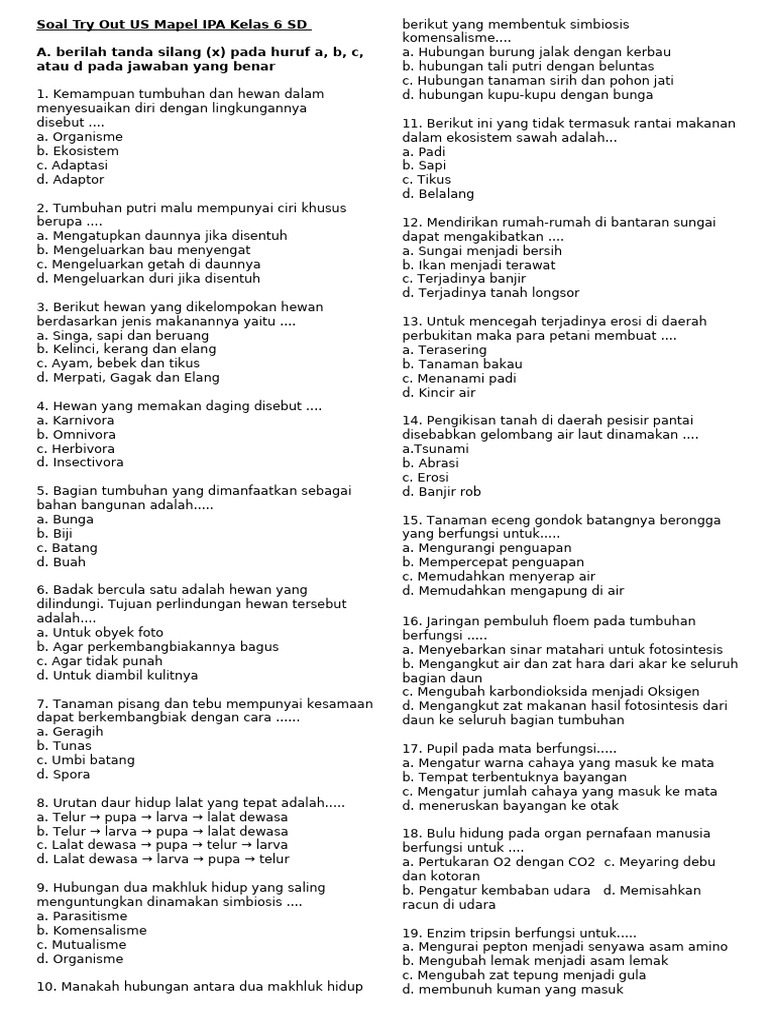 Soal To US IPA Kelas 6 | PDF