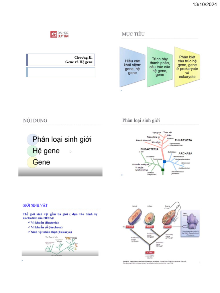 BIO 252 - Sinh Hoc Phan Tu - 2020S - Lecture Slides - 2 | PDF