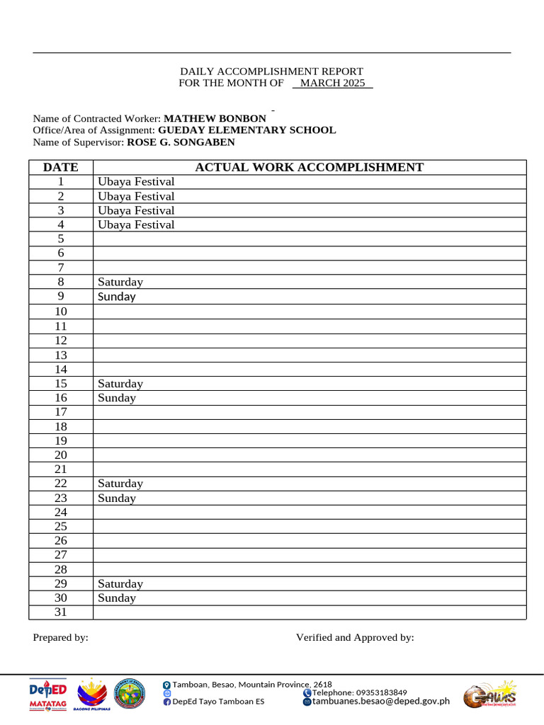 Daily Accomplishment Report - Blank | PDF