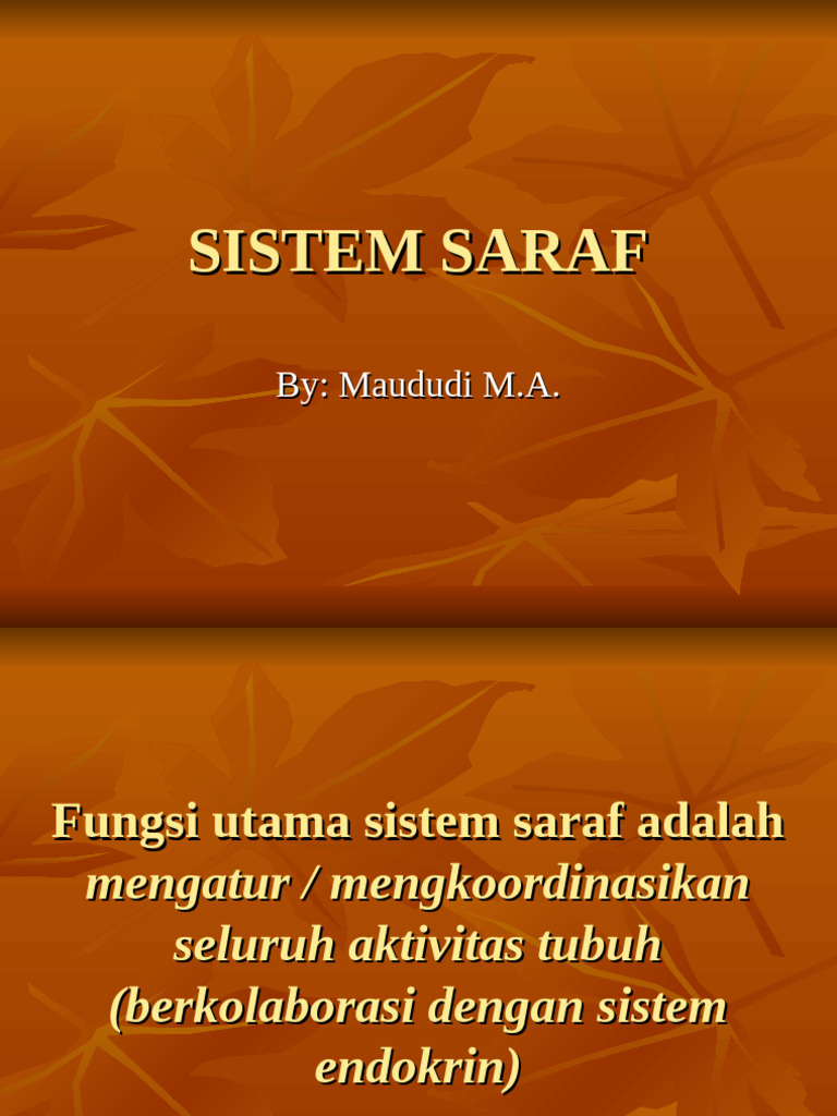 Sistem Saraf | PDF