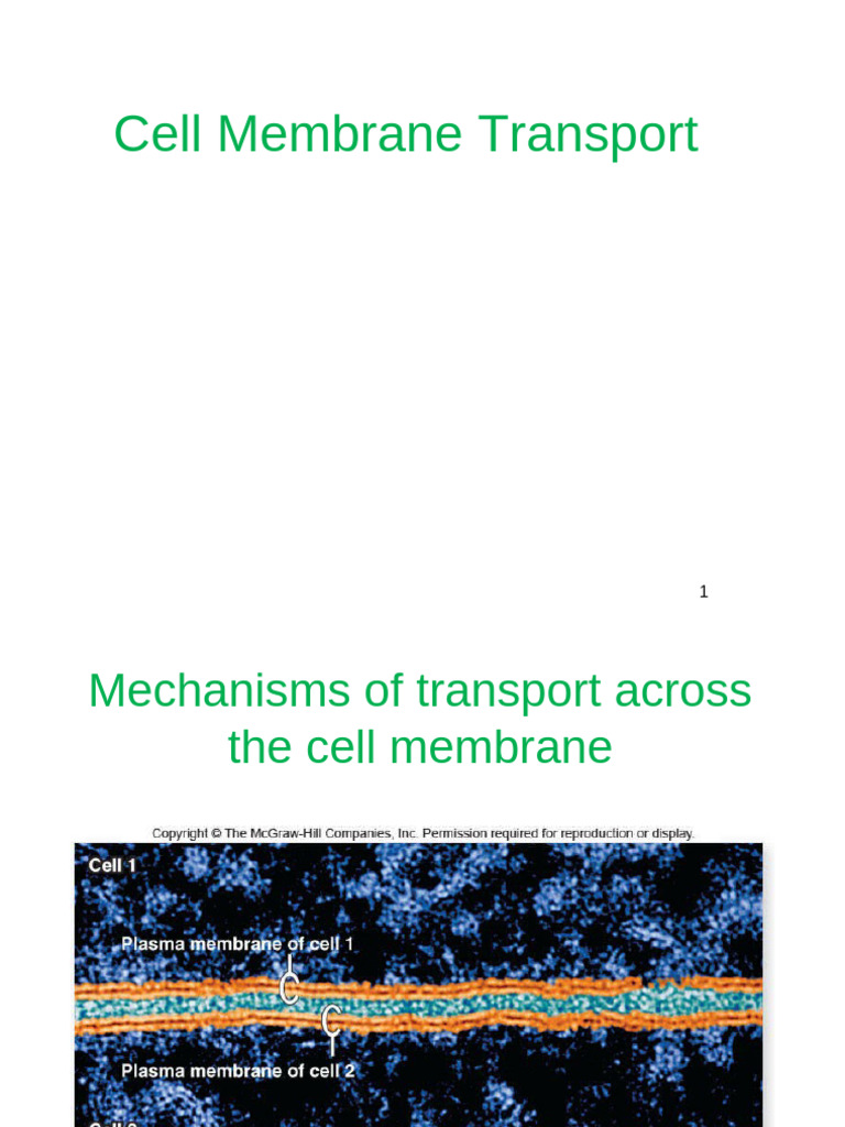 Cell Membranes Transport | PDF | Cell Membrane | Osmosis