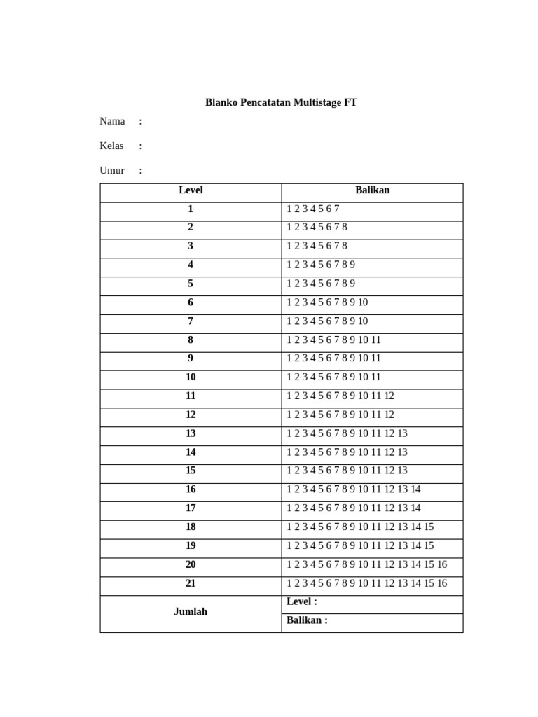 FORMAT MULTISTAGE | PDF