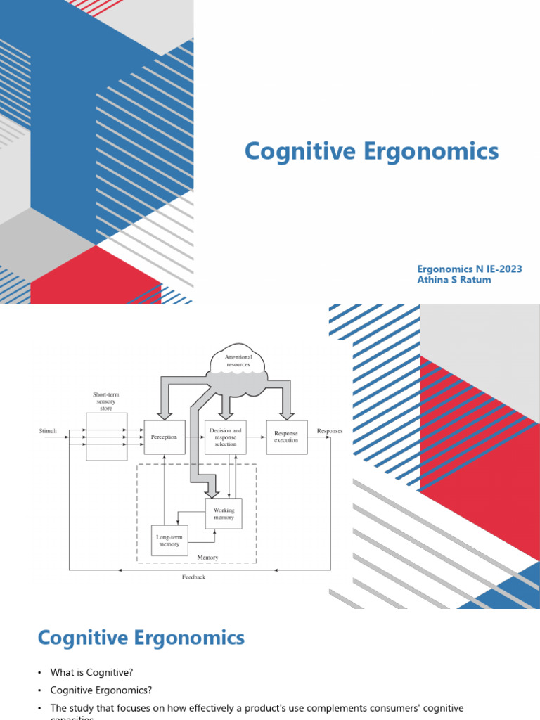 Week 14 - Cognitive Ergonomics | PDF | Attention | Cognition
