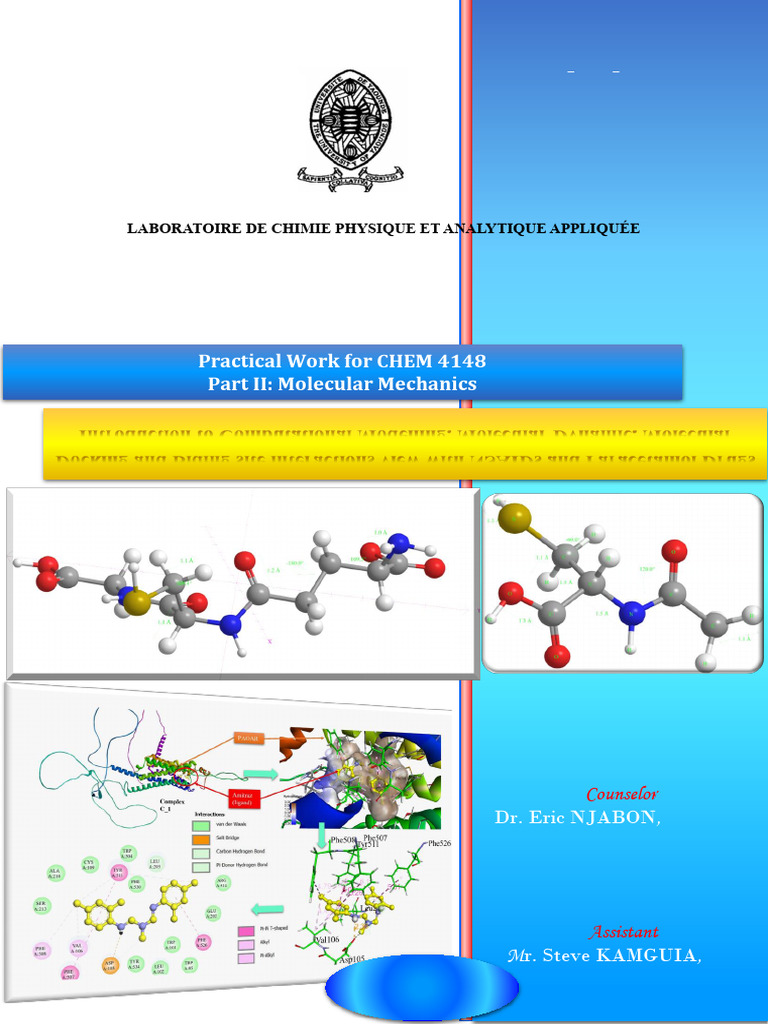 CHM4148 Tutorials 2025 V1 | PDF | Docking (Molecular) | Coordination Complex