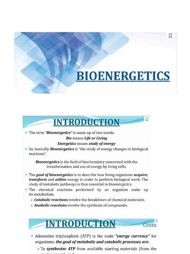 4. Bioenergetics | PDF