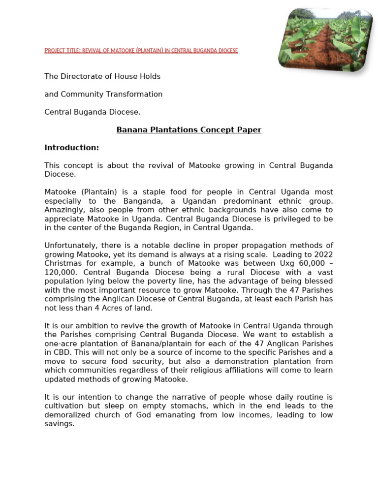 Banana Platations For Parishes in CBD | PDF | Uganda | Banana
