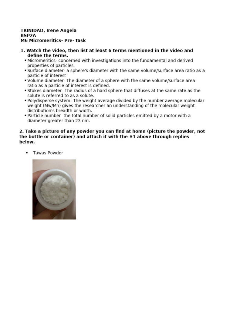 M6 Micomeritics - Pre-Task | PDF