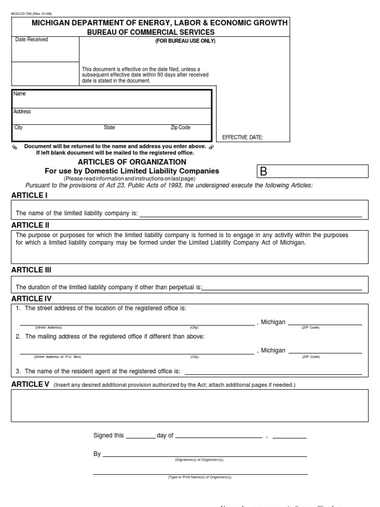 LLC Form | Download Free PDF | Limited Liability Company | Government ...