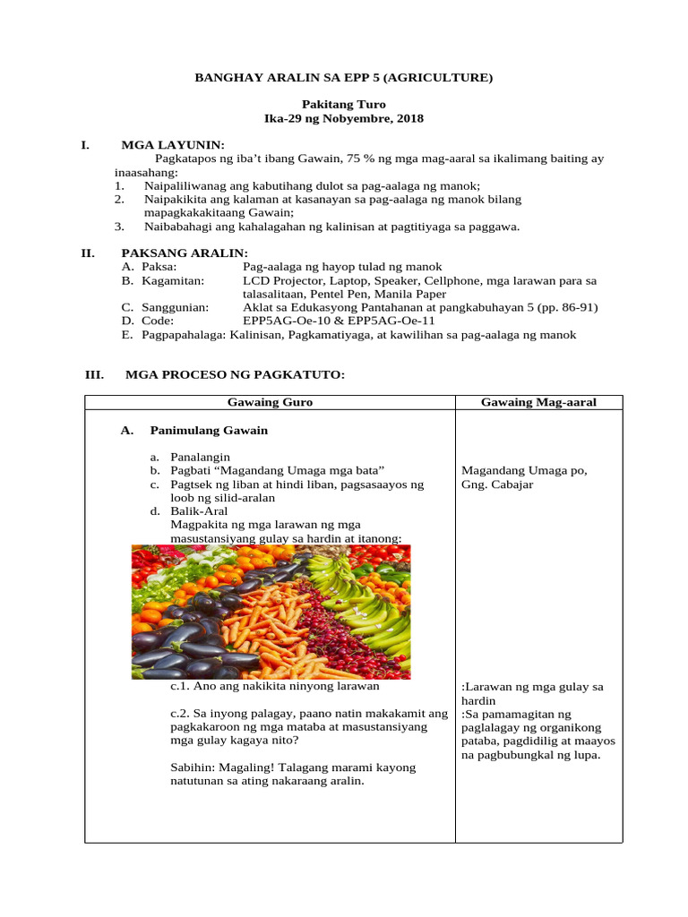 Banghay Aralin Sa EPP 5 (AGRICULTURE) | PDF
