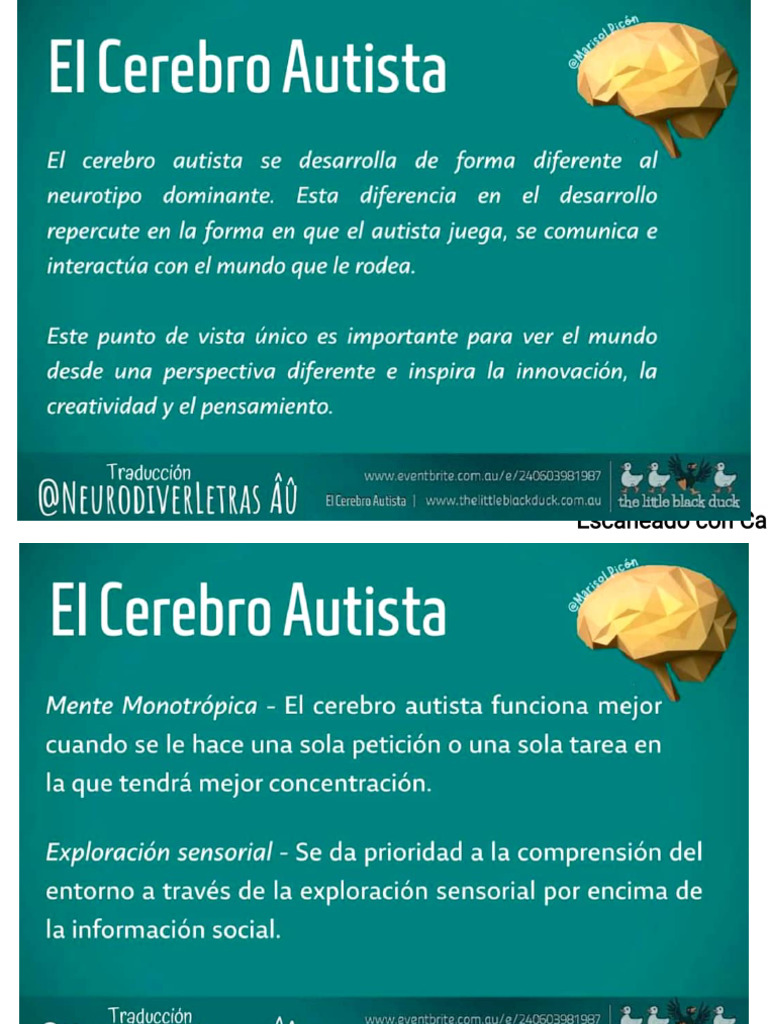 Cerebro Autista | PDF