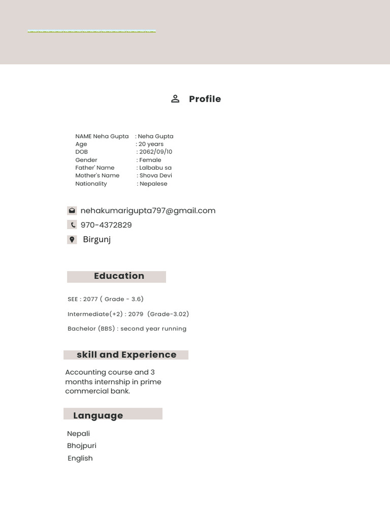 Simple Professional CV Resume 20250417 141626 0000 | PDF