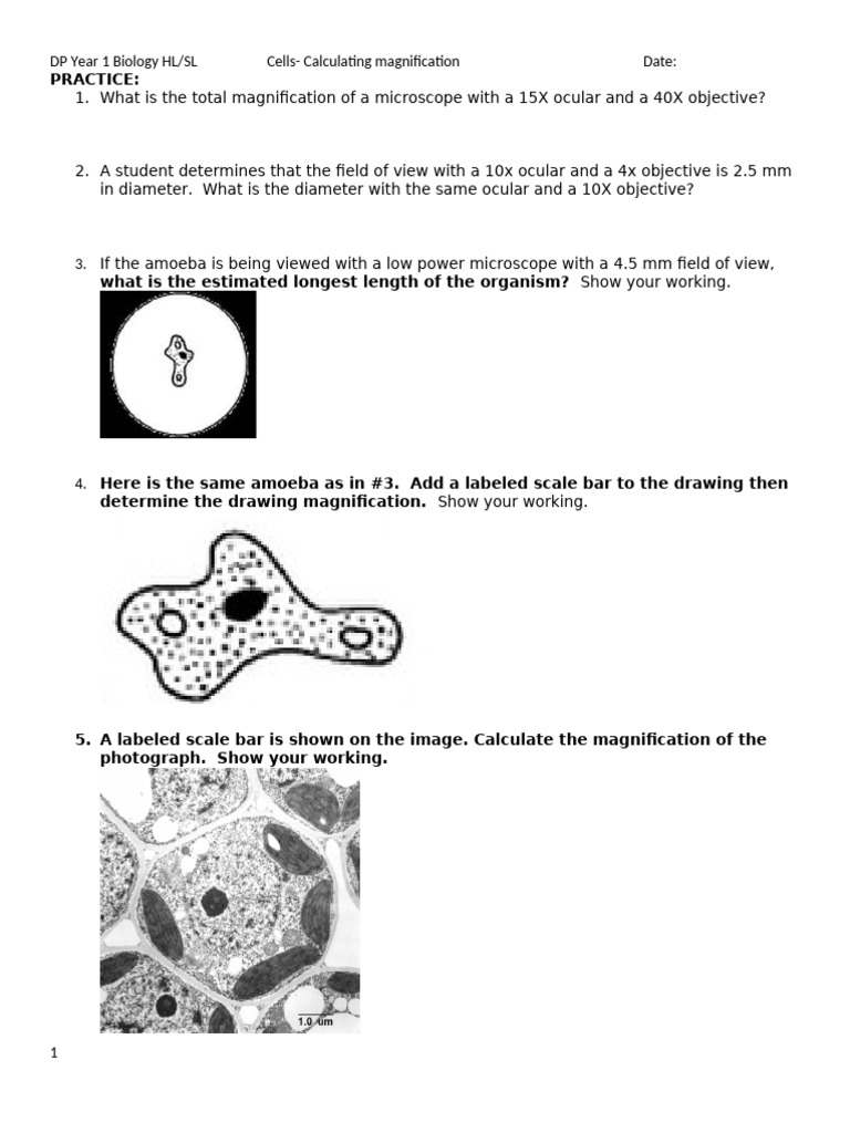 Practice With Magnification | PDF