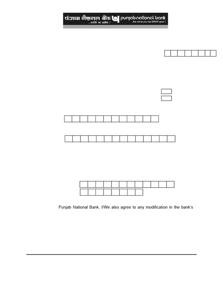 PNB Internet Banking Password Request Form | PDF