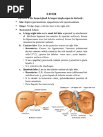 Anatomy of Liver and Spleen Overview | PDF | Wellness