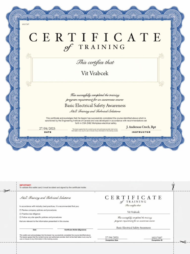 Vit Vrabcek BasicElectricalSafetyAwareness 27-Apr-2025 | PDF