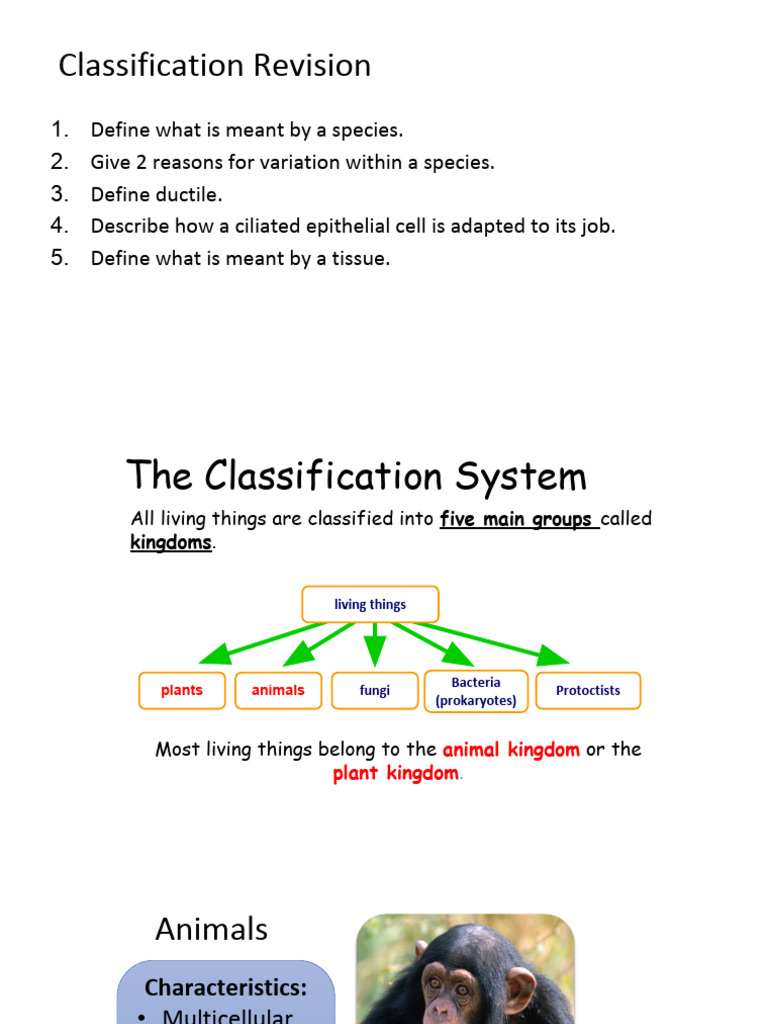 Edited - Topic 5 - Lesson 6 - Revision | PDF | Cell (Biology ...