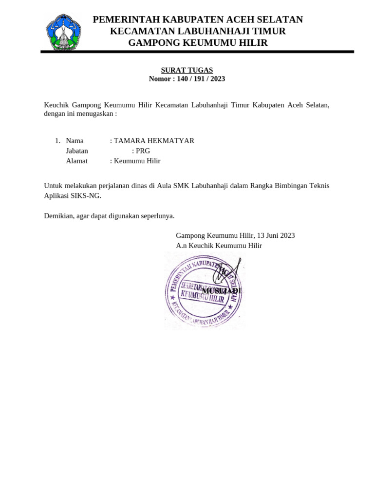 Surat Tugas 2023 | PDF