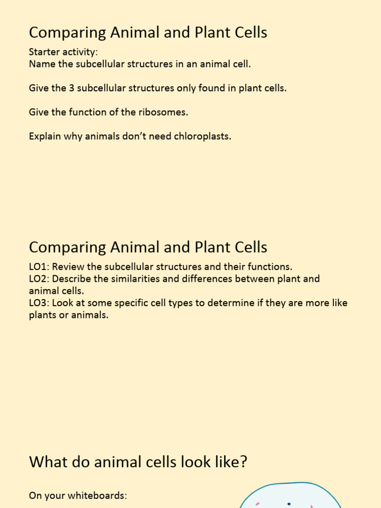 Edited – Topic 2 - Lesson 3 - Comparing Animal and Plant Cells (1 ...