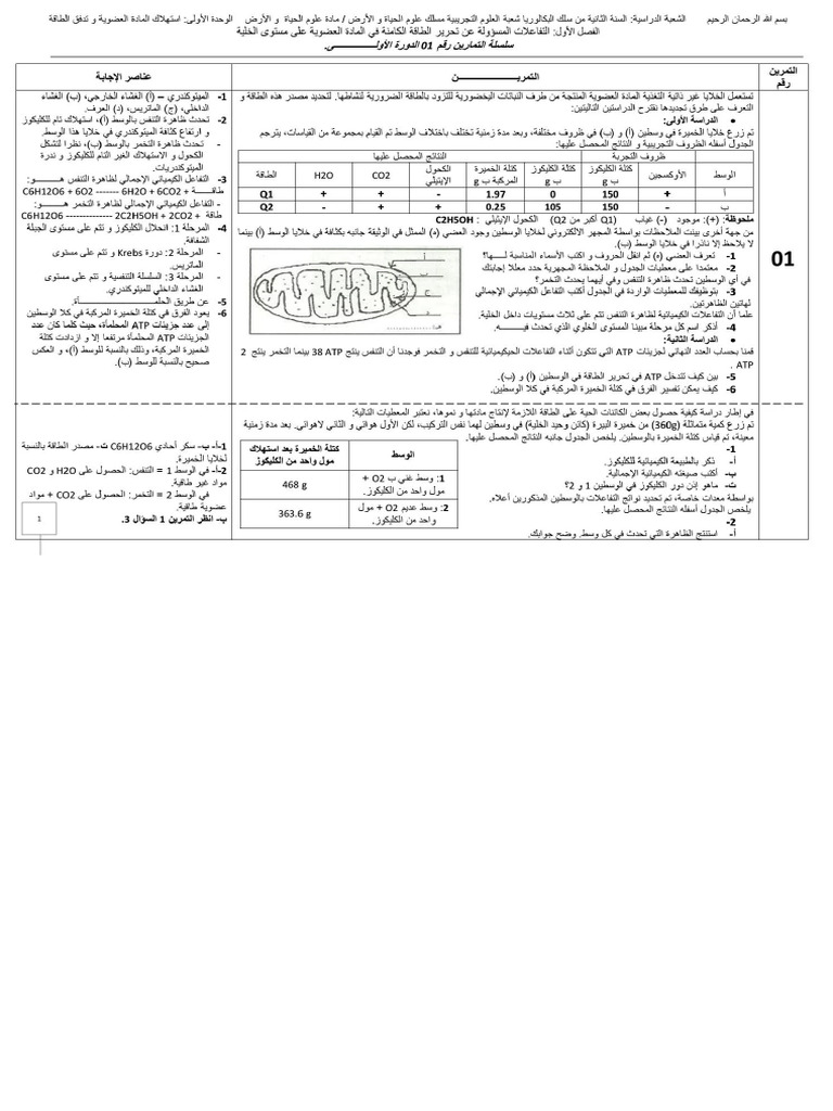 ISSUU PDF Downloader | PDF