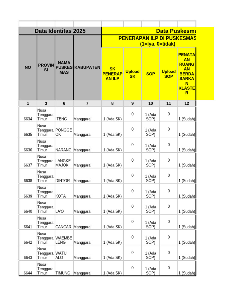 Data Puskesmas dan ILP 2025 | PDF