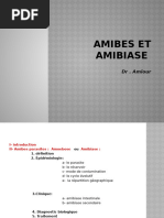 Amibiase Ou Amoebose | PDF | Maladies et troubles | Épidémiologie