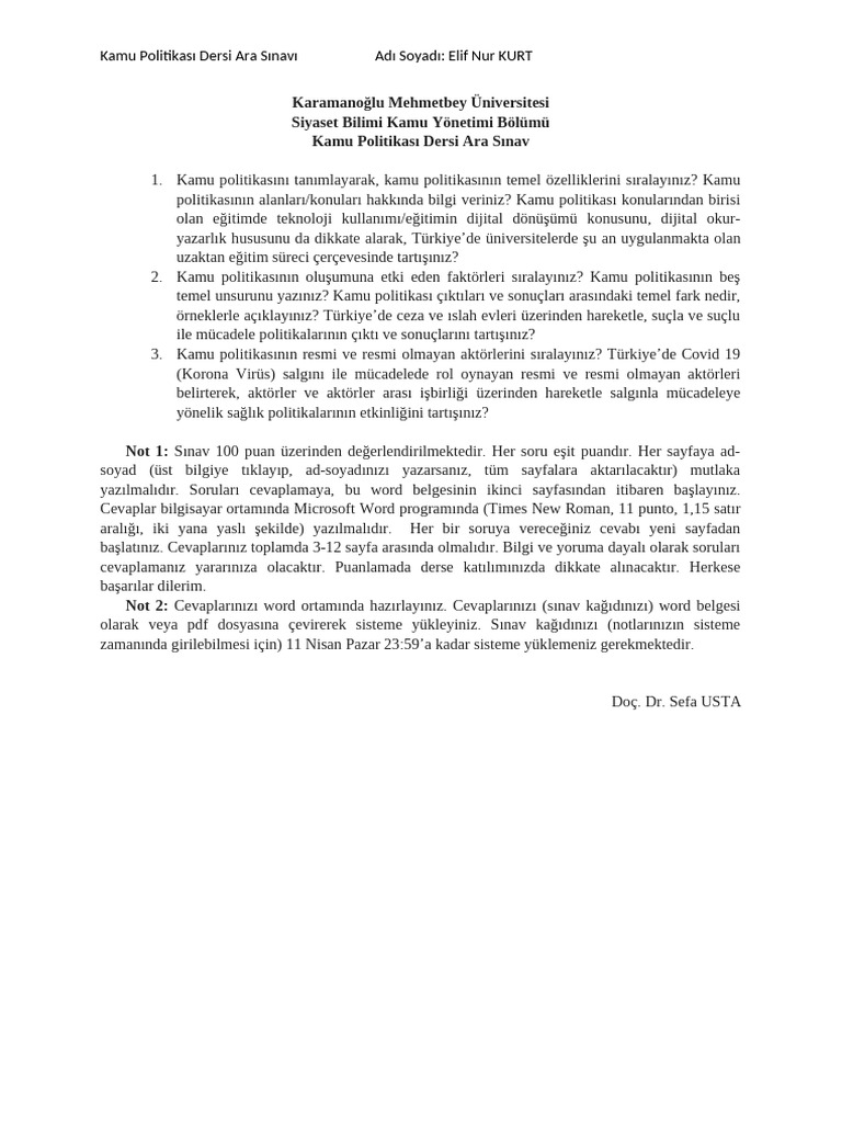 Kamu Politikası Vize | PDF