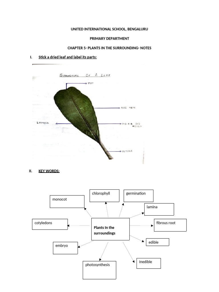 Edible Plant Parts and Examples | PDF | Leaf | Vegetables