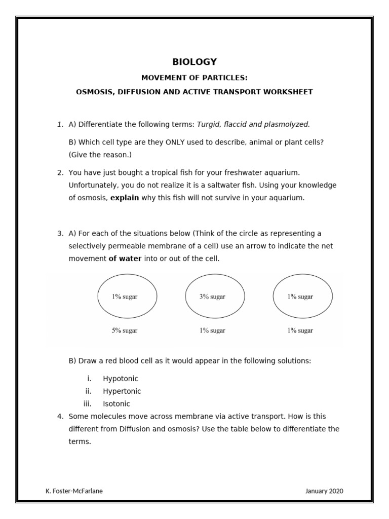 Osmosis and Cell Transport Worksheet | PDF | Osmosis | Cell (Biology)