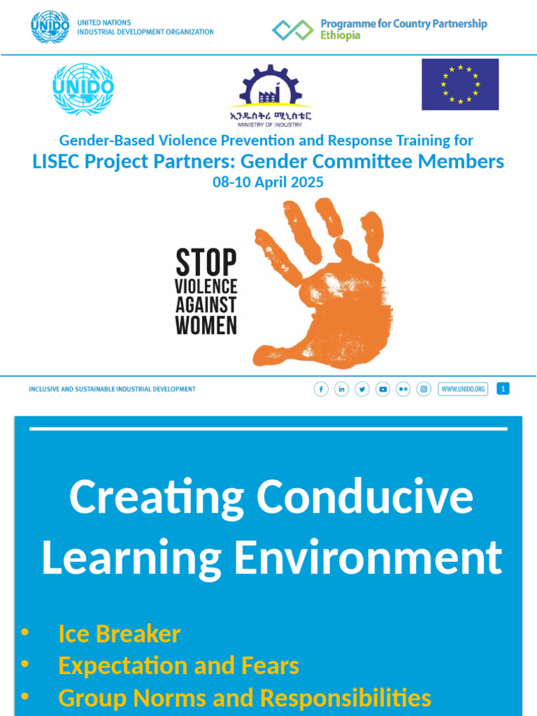 GBV Training - Modjo MSME - April 2025 | PDF | Sexual Harassment ...