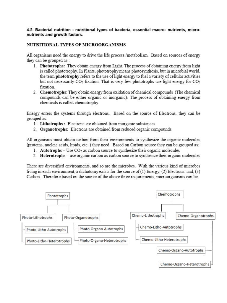 Sem2 - 4.2.1 - Nutrition Types 2023 | PDF | Photosynthesis | Cellular Respiration