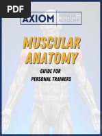 Mako Knee CT Scanning Protocol | PDF | Pelvis | Knee