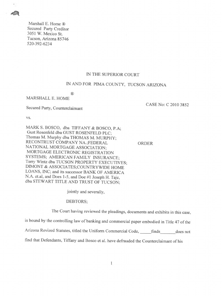 CounterClaim C-2010 3852 | PDF