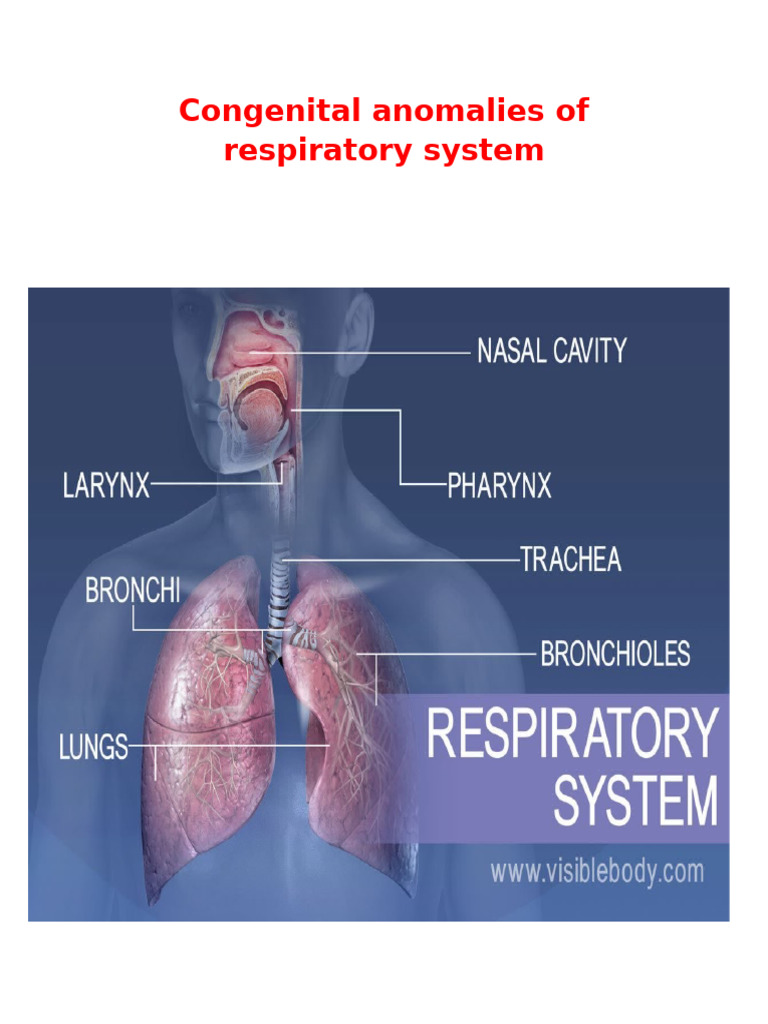 Congenital Respiratory Anomalies Overview | PDF | Respiratory System ...