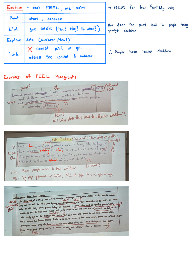 PEEL Paragraph Notes | PDF | Parental Leave | Human Development