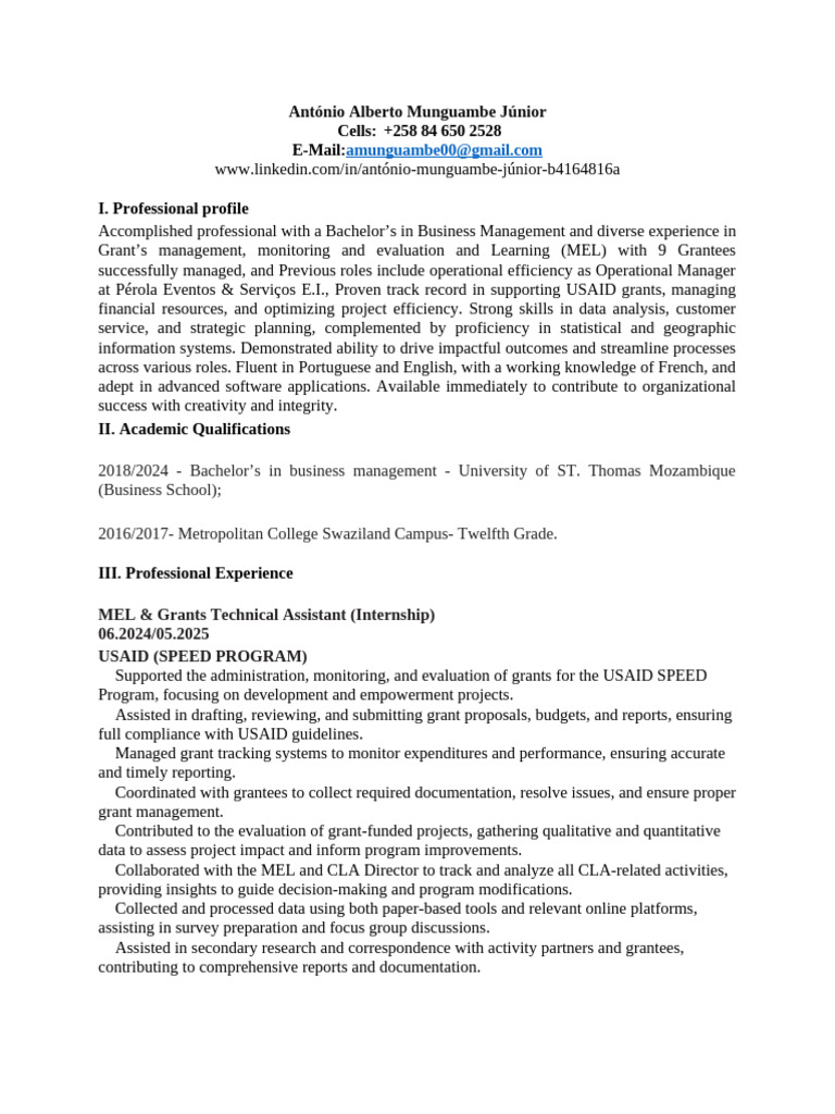 António Munguambe Júnior CV (English) | PDF | Business