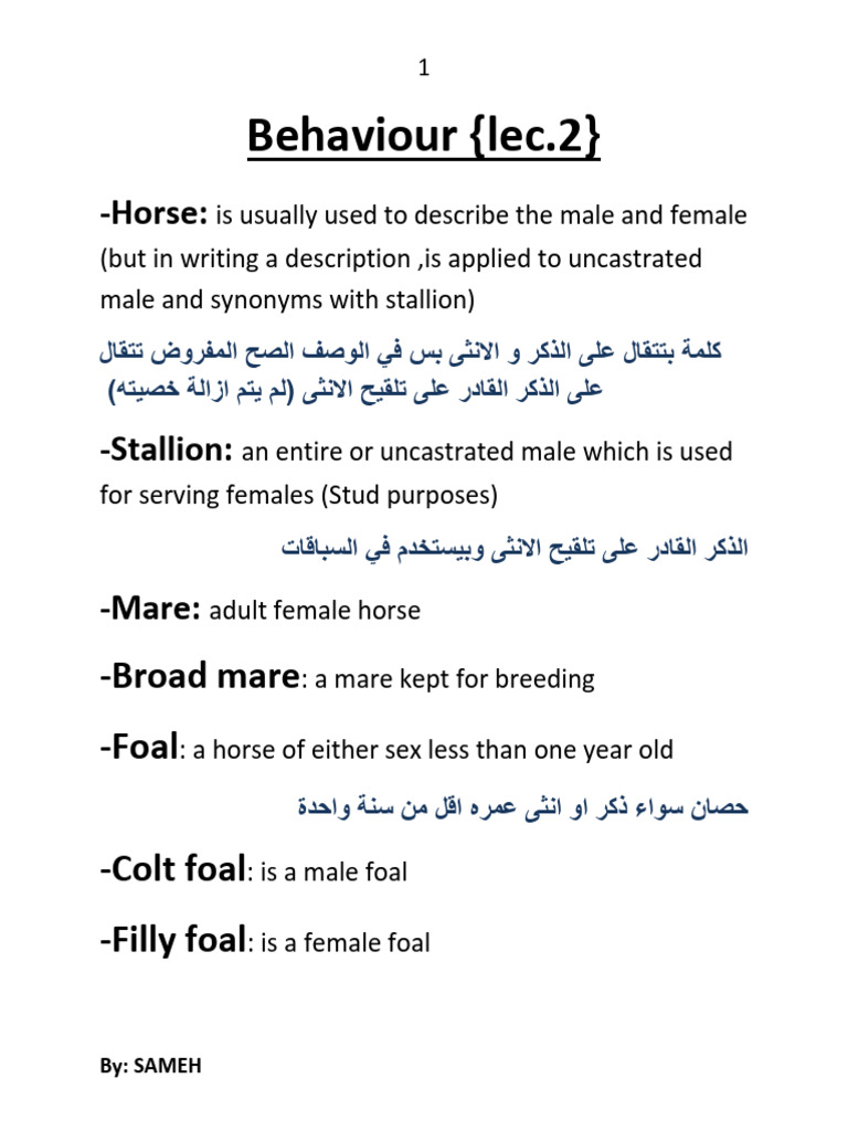 Sameh Saad Ø Ø Ø 8 | PDF | Sheep | Bull