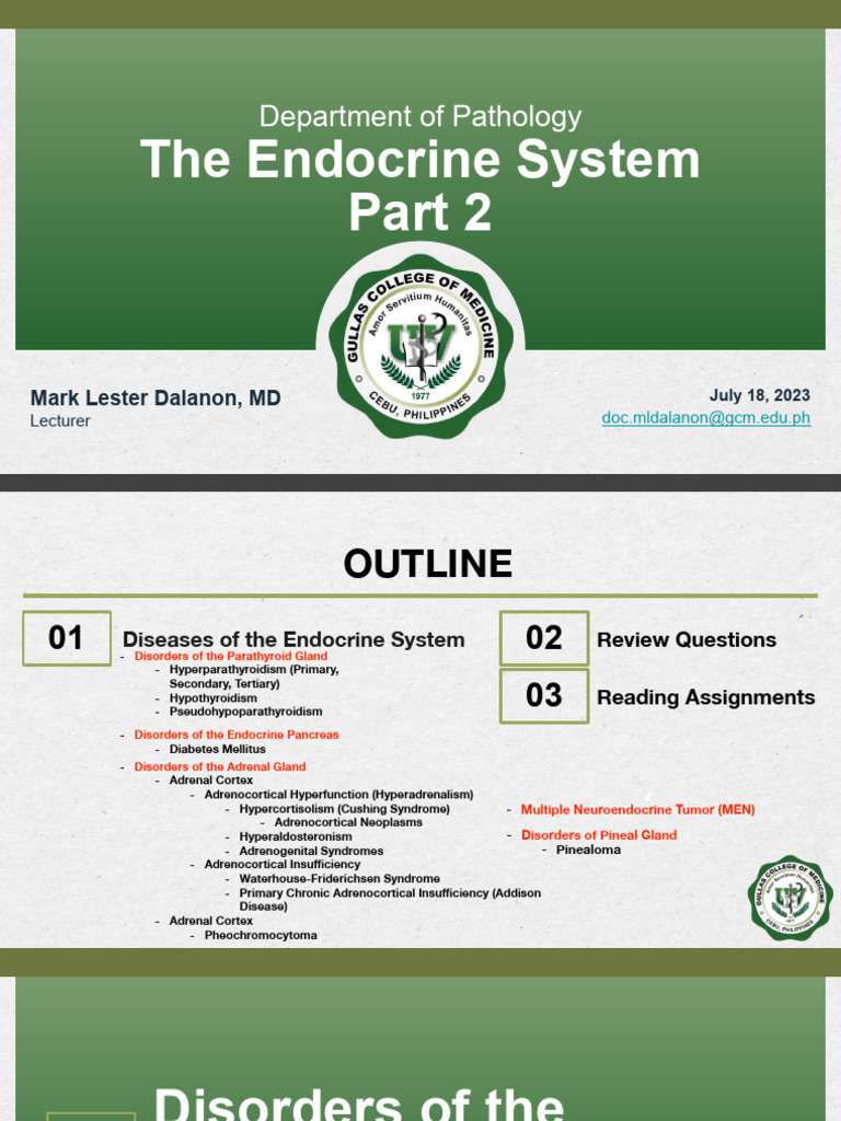 20.1endocrine System Part 2 | PDF | Adrenal Gland | Pancreas