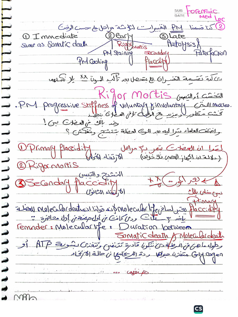Forensic Med Lec 2 Mariam Ramadan | PDF