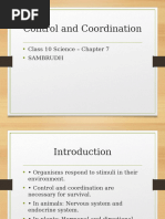 10th Cbse Bio Chapter 2 Notes | PDF | Neuron | Nervous System