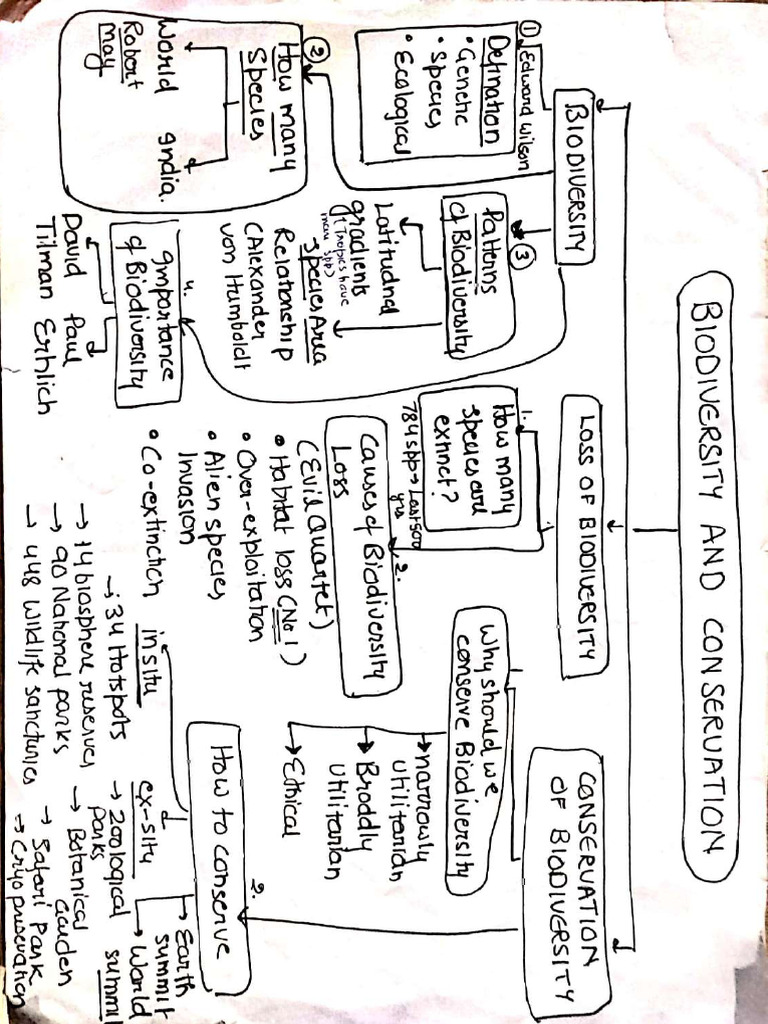 Biodiversity and Conservation (Hand Written Notes) | PDF